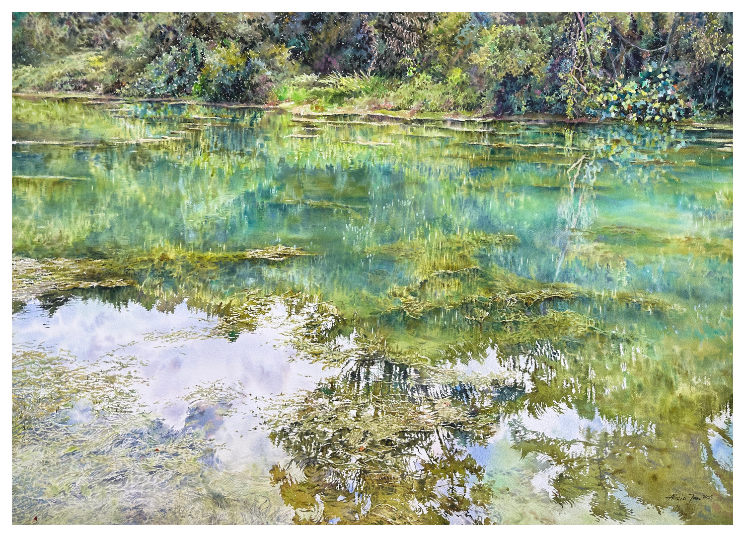 Serenity #9 – Serenity Gallery