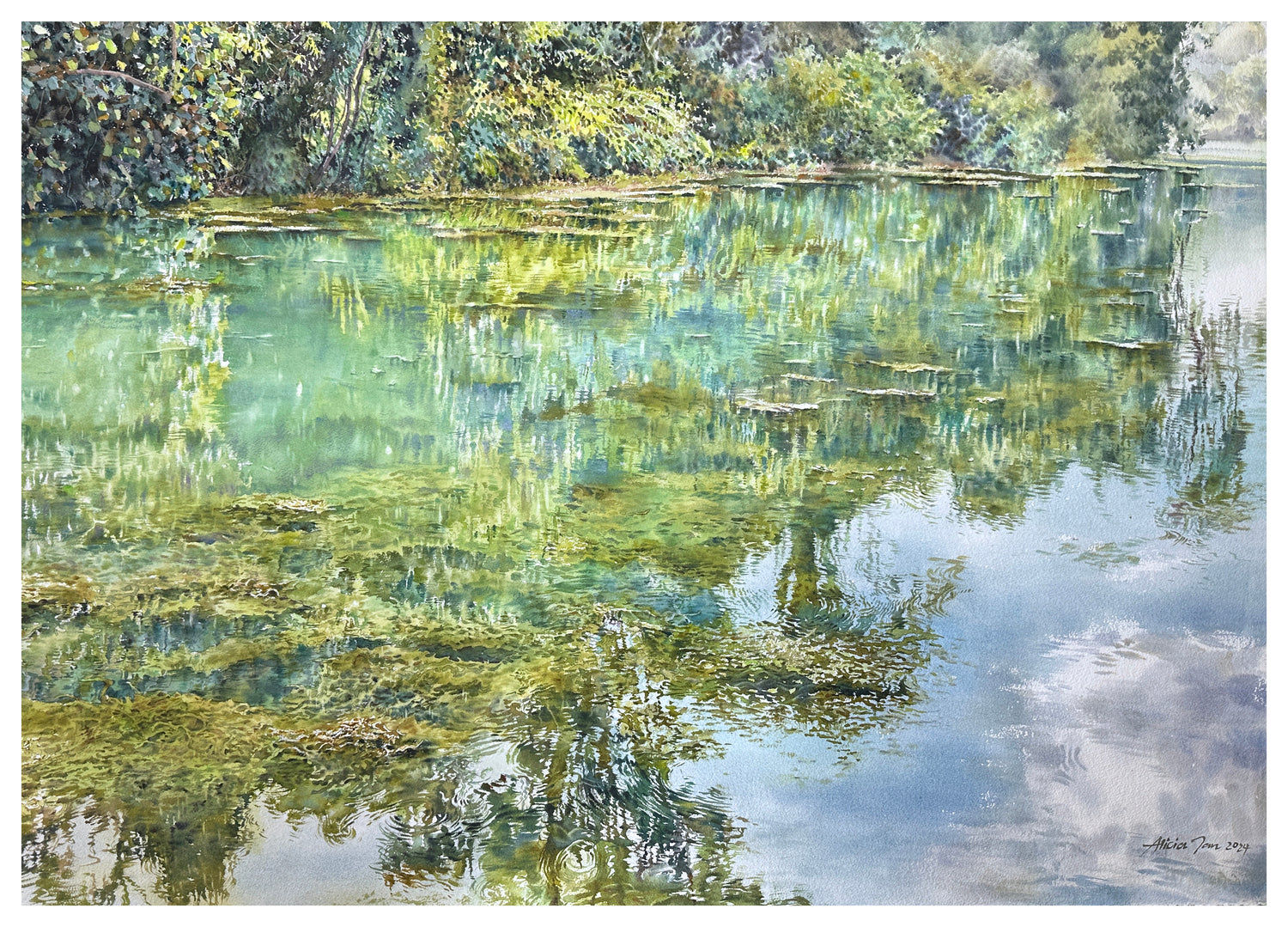 Serenity #8 – Serenity Gallery